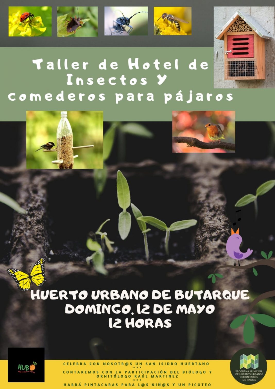 Taller de Hotel de Insectos y comederos para pájaros en HUB ...